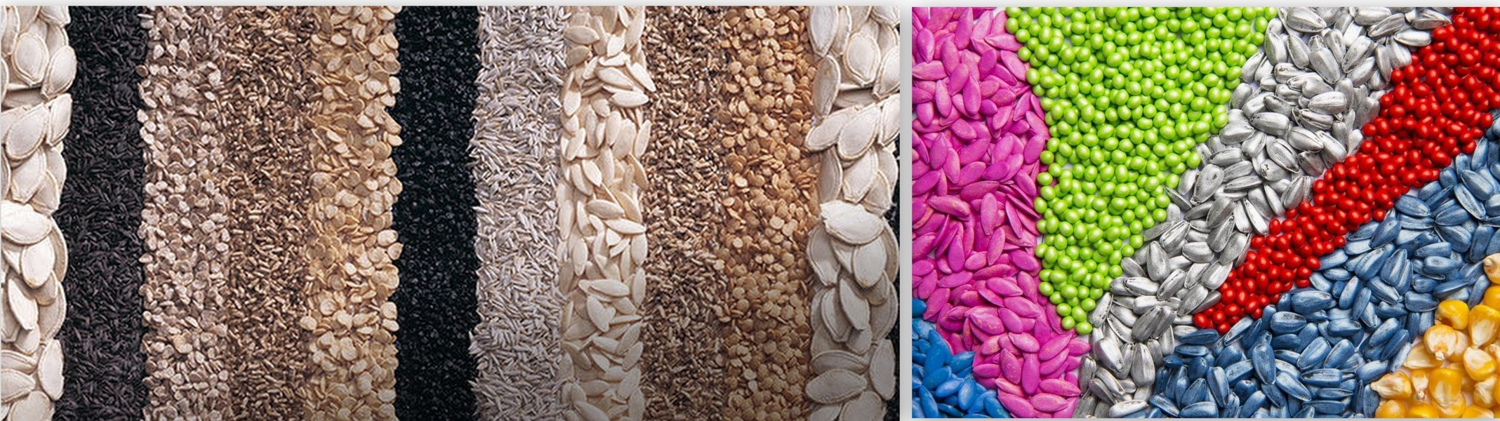 Analyze Color in Natural and Color Coated Seeds | Sensegood
